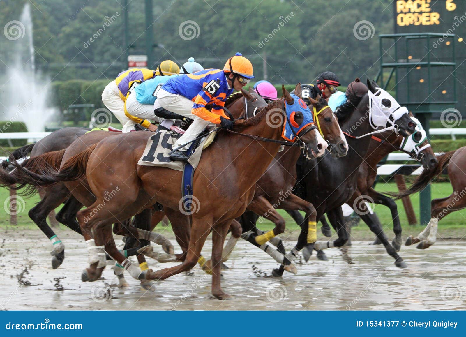 Racing Down a Muddy Track editorial photography. Image of horse - 15341377