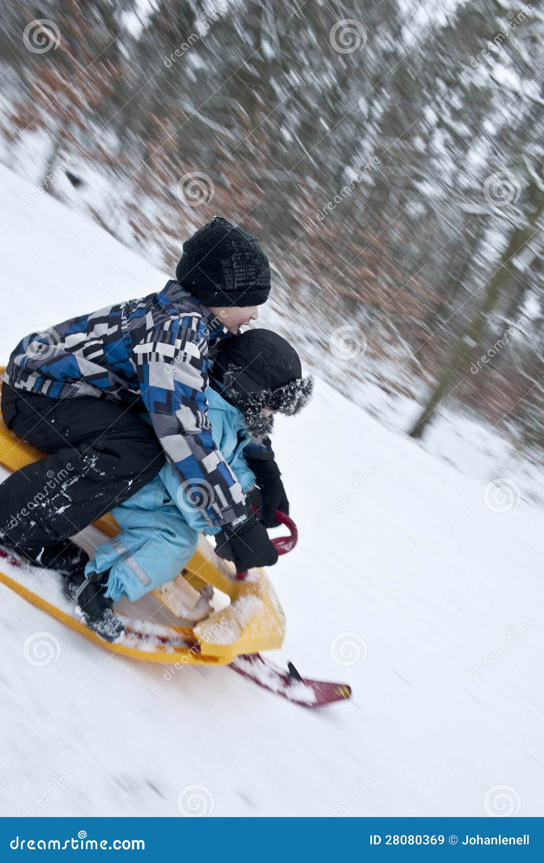 Racing Downhills on a Snow Sledge Stock Image - Image of sleigh ...