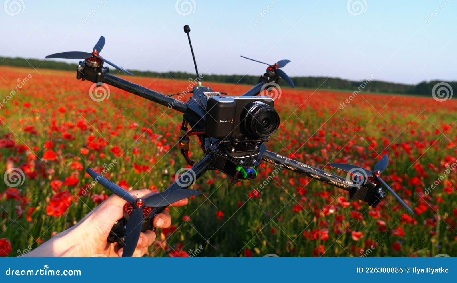 Racing Drone on Poppy Field on a Summer Sunset Editorial Photo - Image ...
