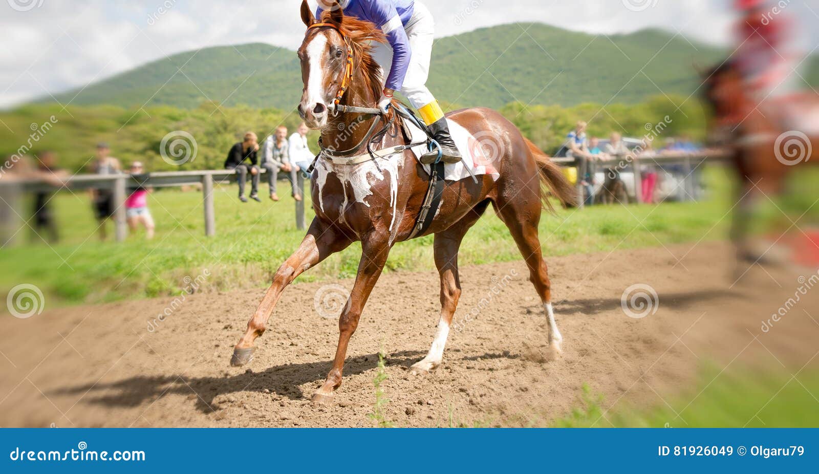 Racing Horse Portrait in Action Stock Image - Image of animal, fast ...