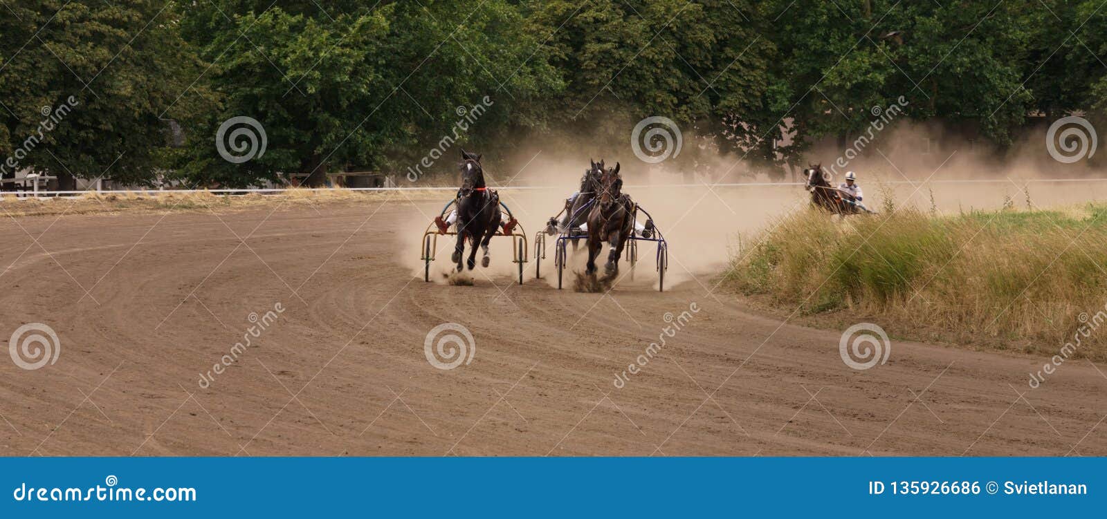 Racing Horse or Horse Riders Compete Stock Photo - Image of panoramic ...