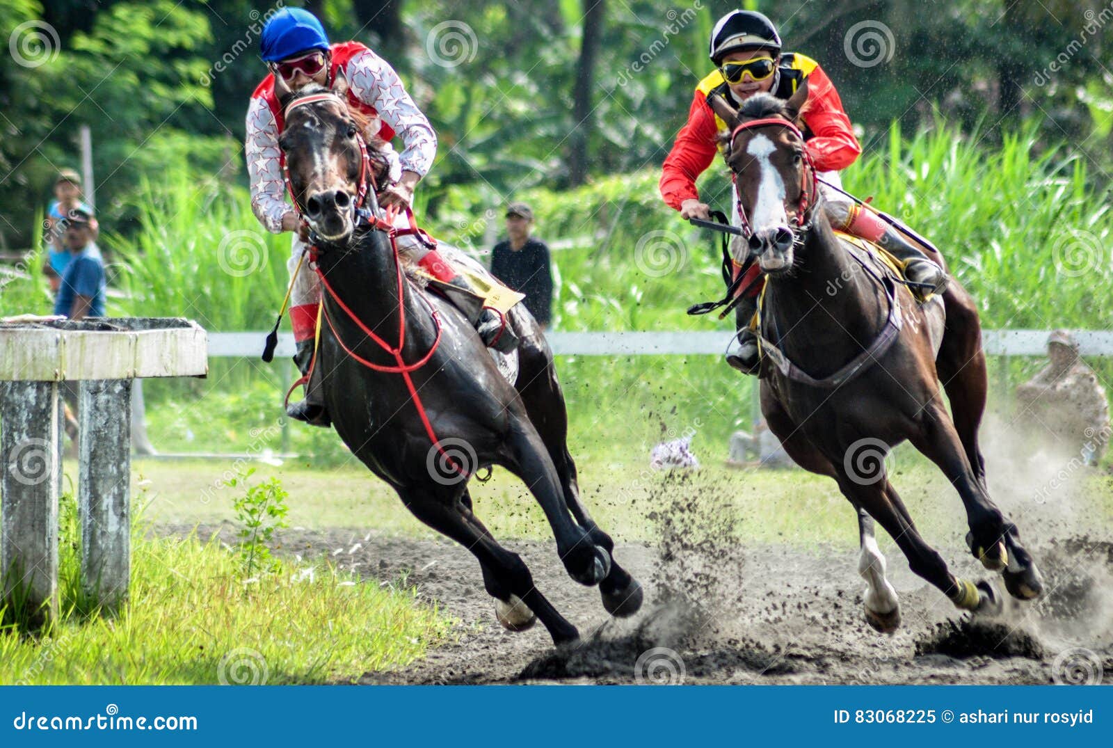Racing 2 horse editorial image. Image of event, sport - 83068225
