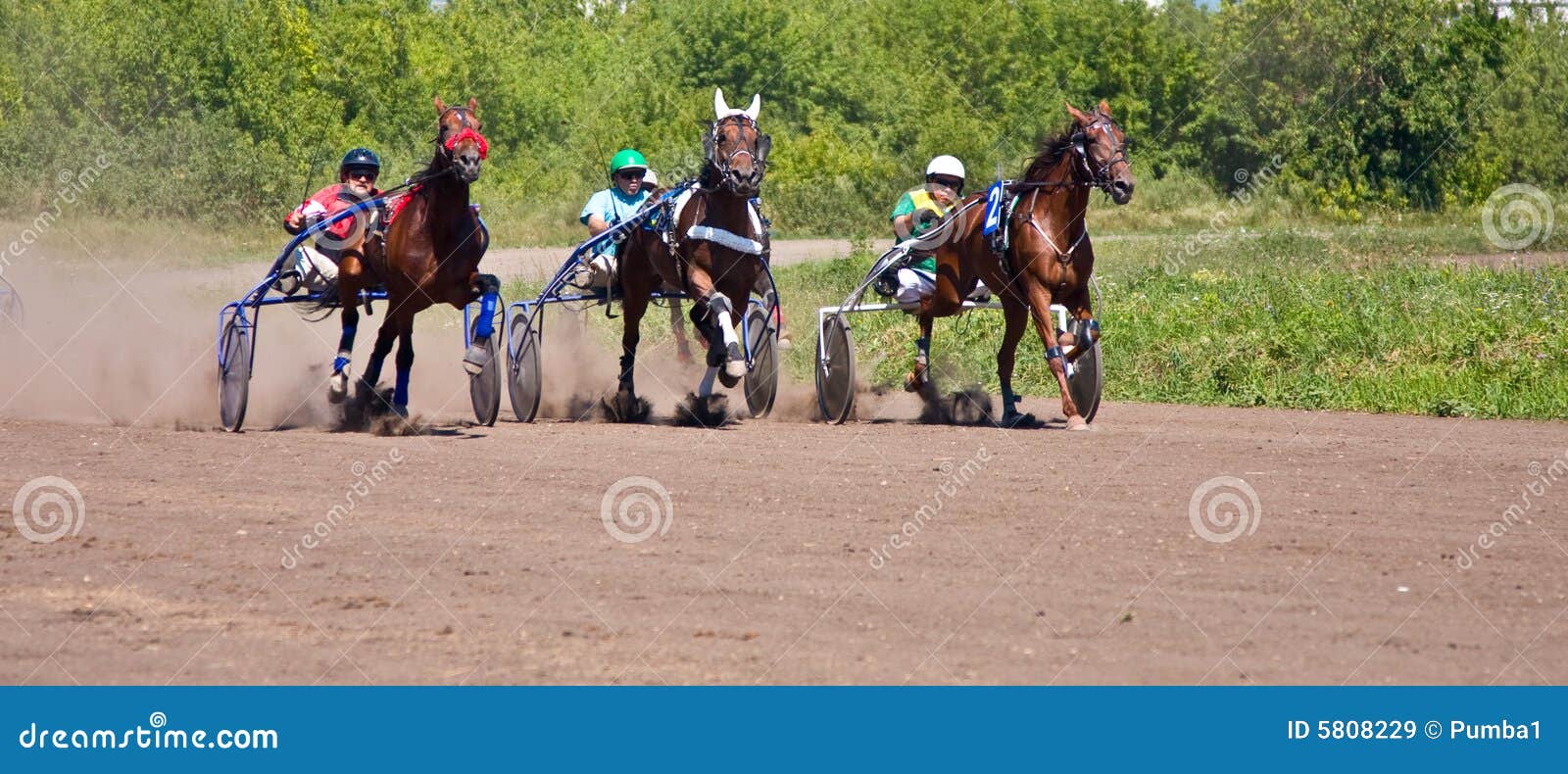 Racing horses editorial stock image. Image of horse, competition - 5808229