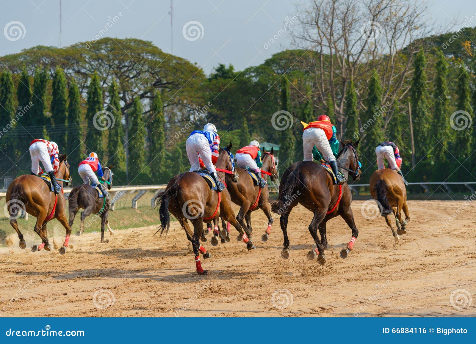 Racing Horses Starting a Race Stock Photo - Image of outdoor ...