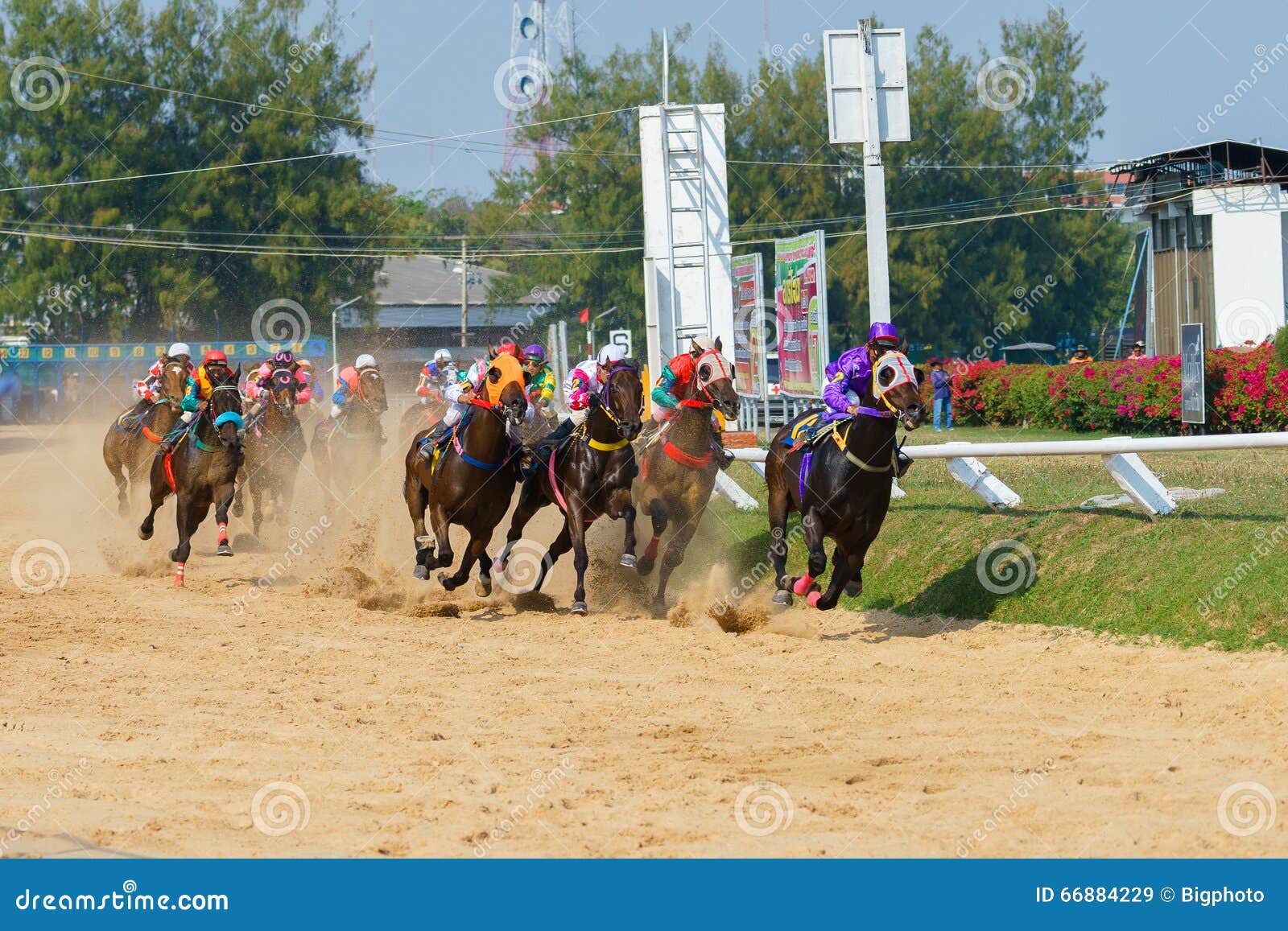 Racing Horses Starting a Race Editorial Stock Image - Image of ride ...