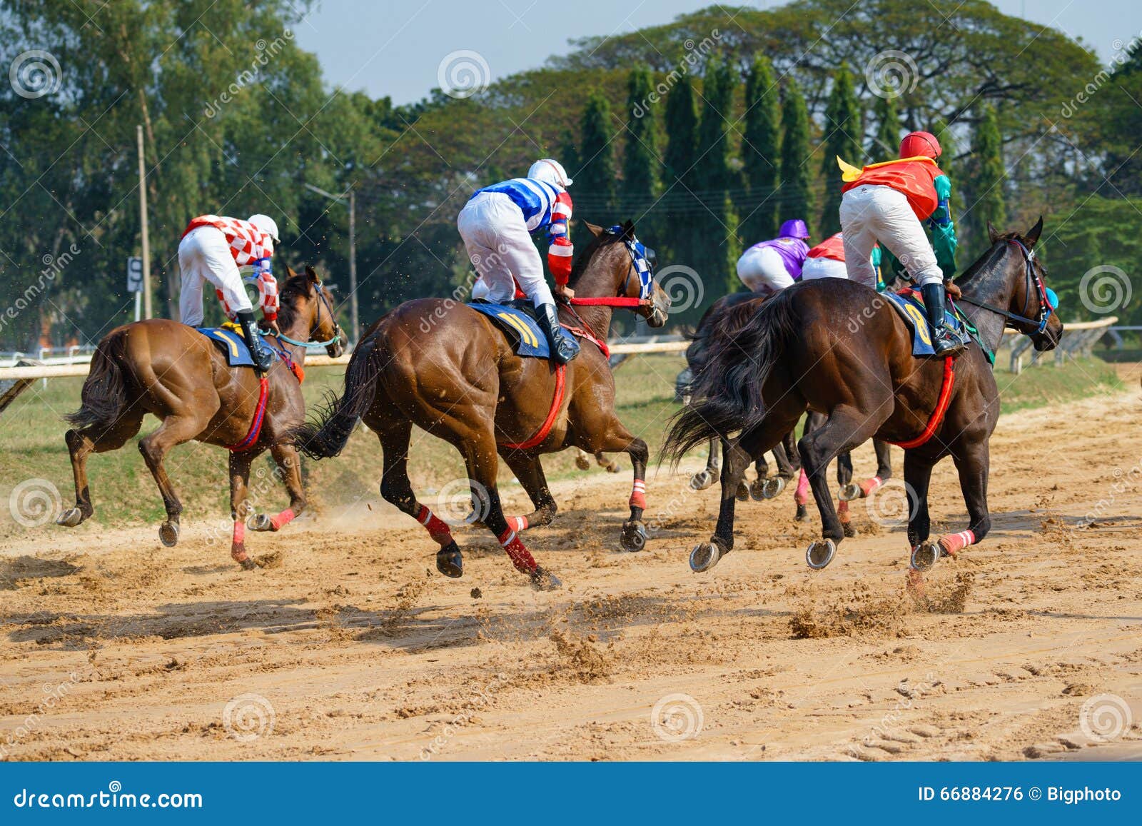 Racing Horses Starting a Race Editorial Photo - Image of compete, quick ...