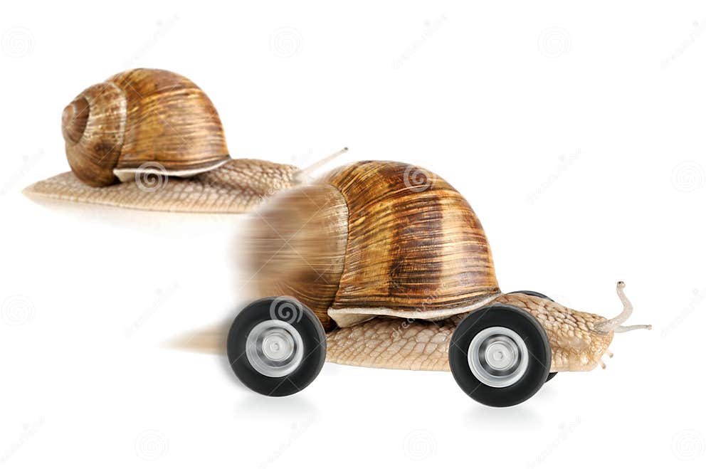 Racing snail on wheels stock image. Image of concept - 15615919