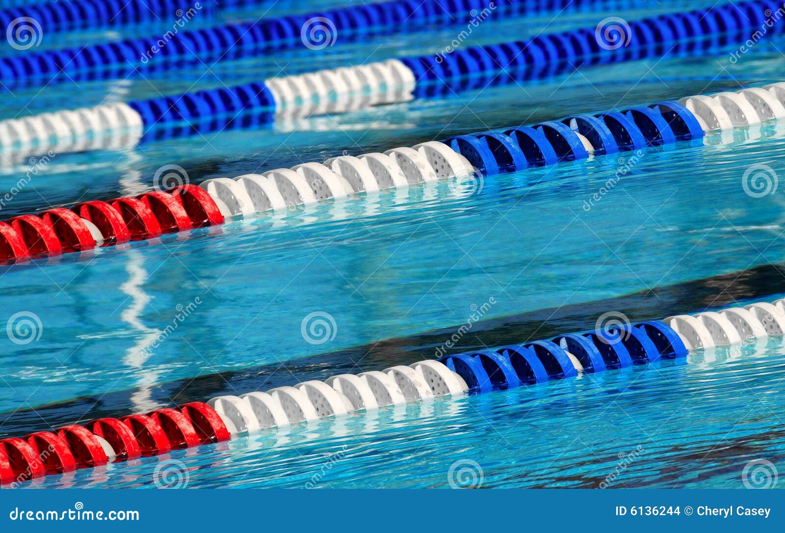 Racing Swim Lanes stock photo. Image of stroke, lose, marker - 6136244