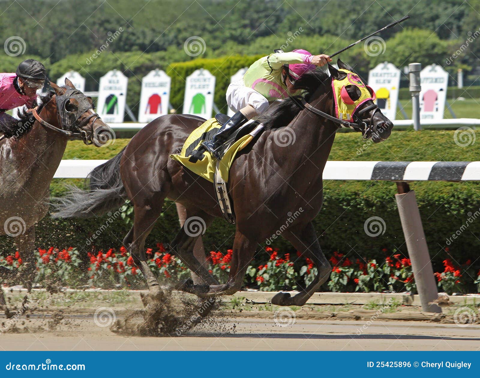 Racing to the Win editorial photo. Image of race, quick - 25425896