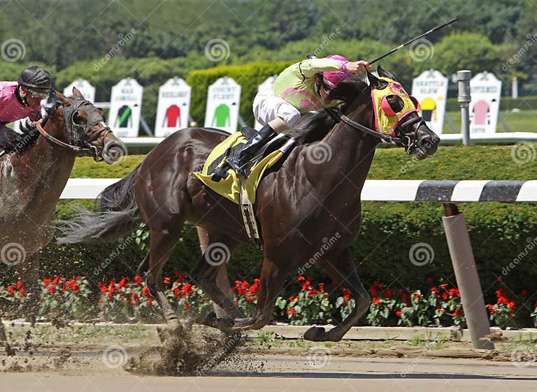 Racing to the Win editorial image. Image of racetrack - 25437110