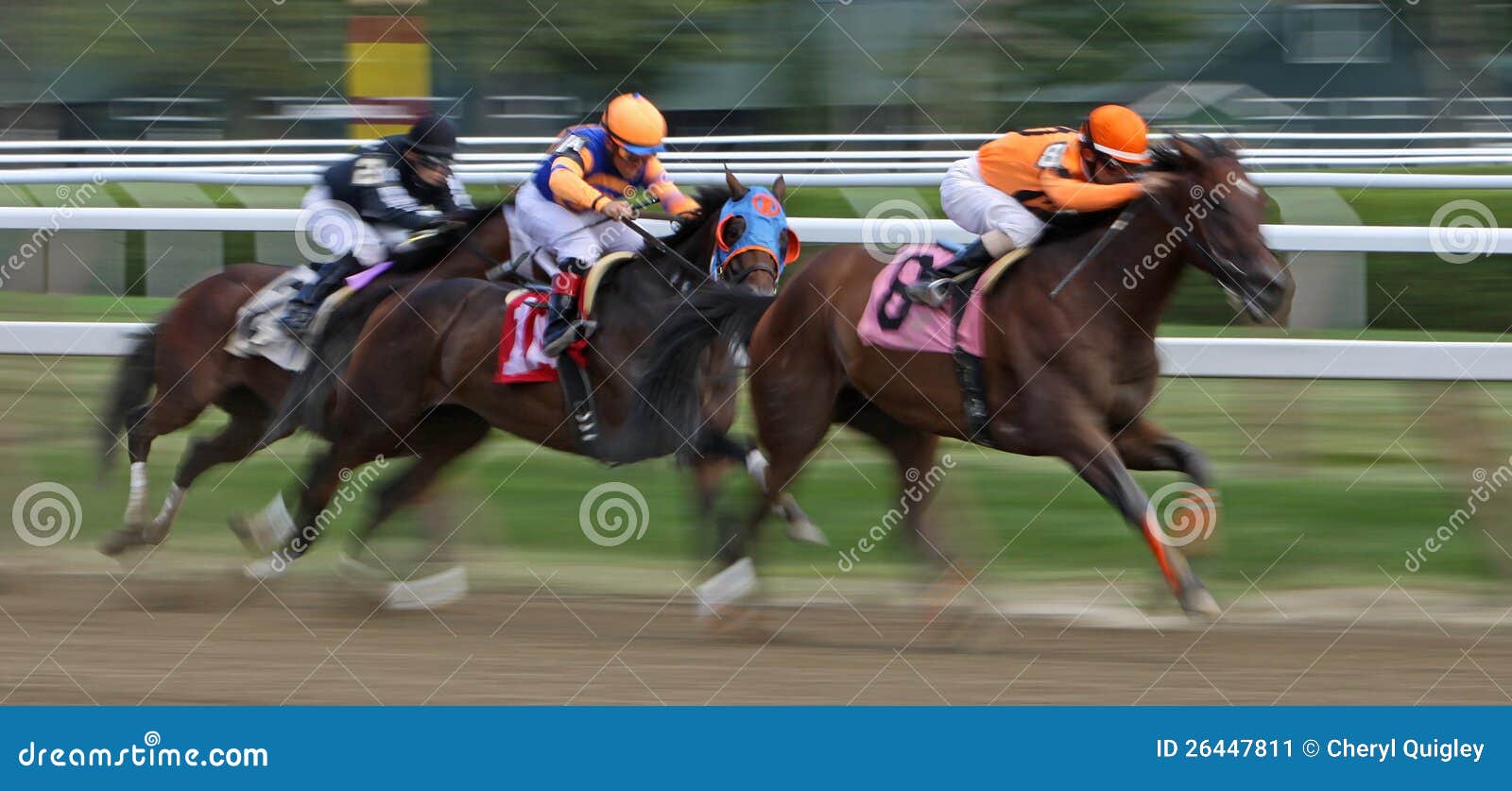 Racing for the Win editorial photo. Image of speed, hippodrome - 26447811