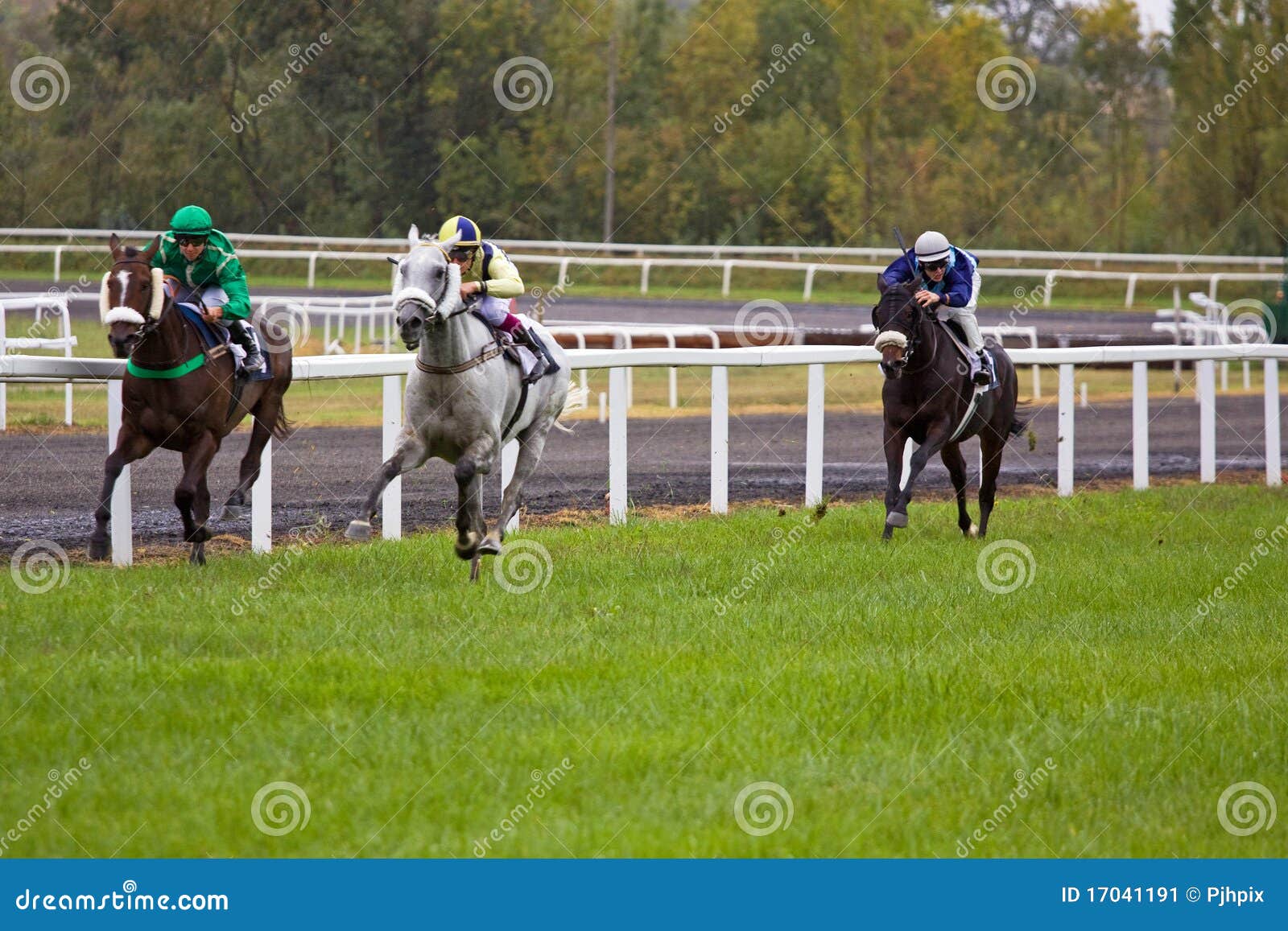 Racing for the Winning Post Editorial Photo - Image of sport, rider ...