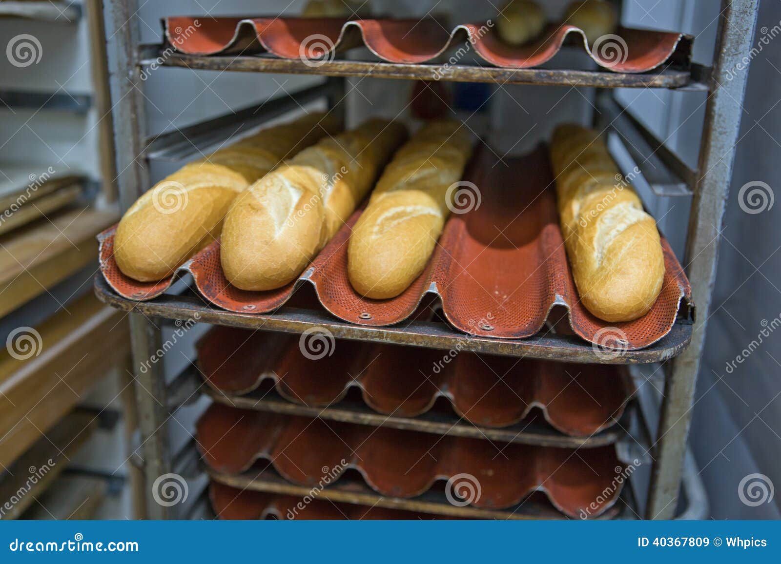 Rack with baguettes stock image. Image of output, baguette - 40367809
