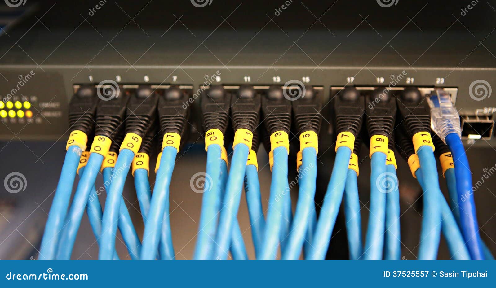 Rack with cables and plugs stock image. Image of database - 37525557