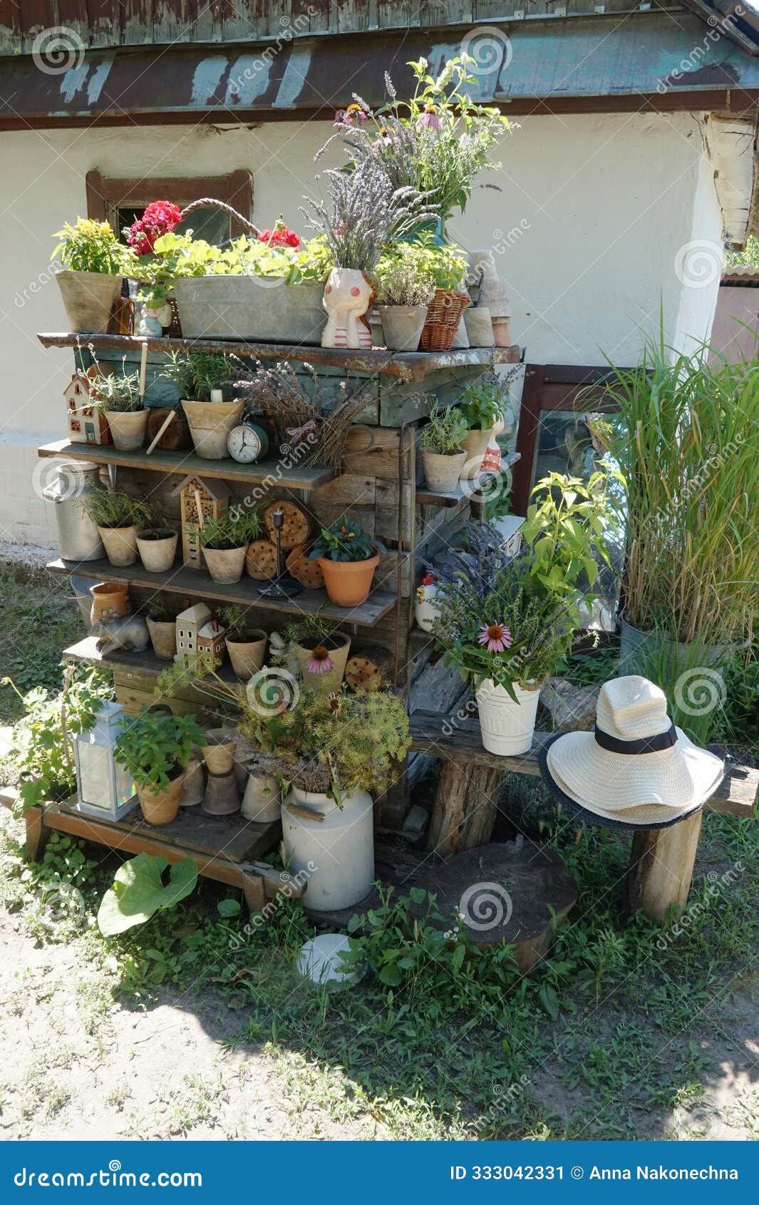 A Rack with Indoor Plants in Pots in the Yard Stock Image - Image of ...