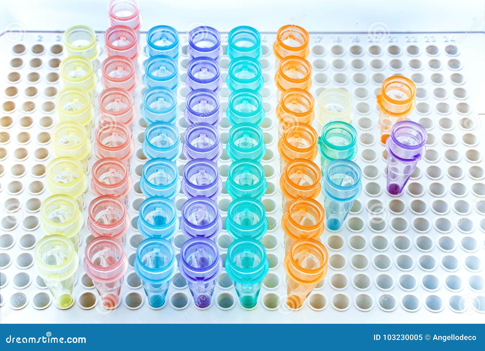Rack with Pcr Tubes for Genetic Analysis Stock Image - Image of genetic ...
