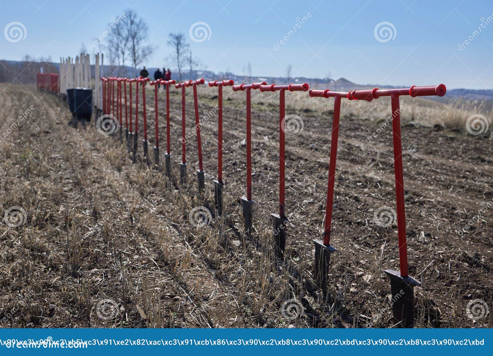 Rack with Shovels Near an Arid Field before Tree Planting. Stock Photo ...