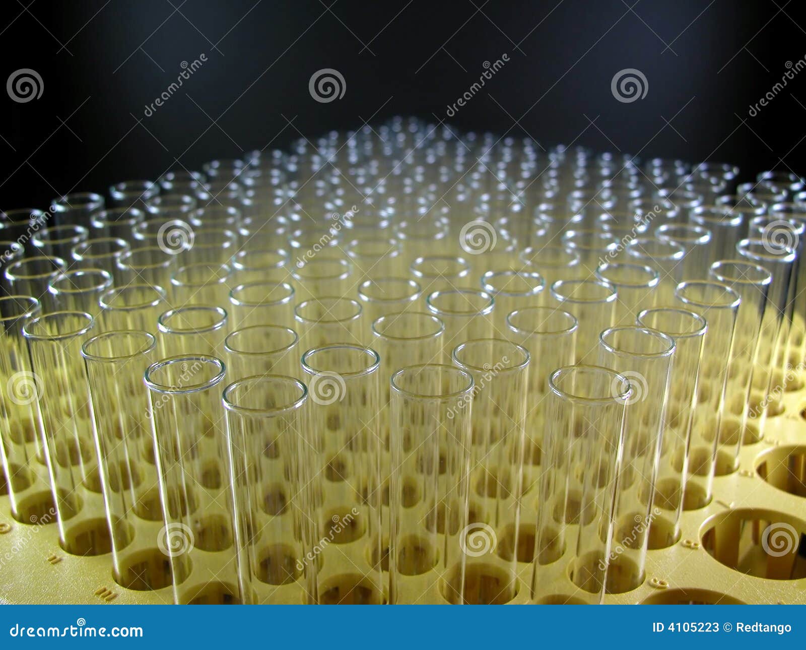 Rack With Test Tubes And Jar On Table In Laboratory. Stock Photo ...