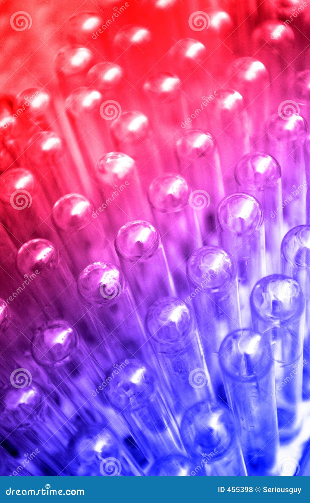 Inverted Test Tubes In Metal Racks, Vertical Royalty-Free Stock Photo ...