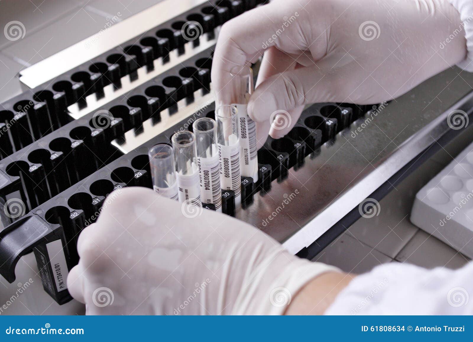 Rack Of Blood Tubes Labeled In Blood Bank Lab Royalty-Free Stock Image ...