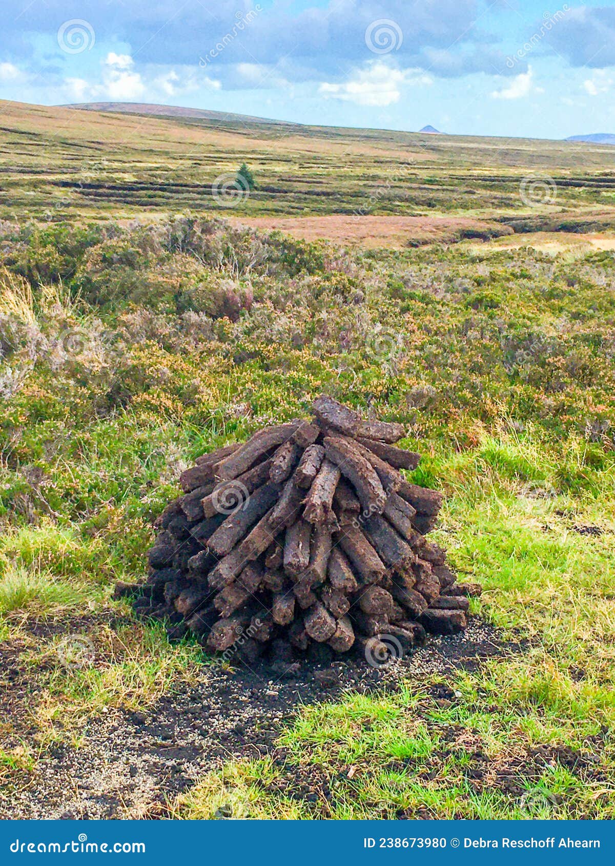 A Rack of Turf Drying in the Open Air Stock Photo - Image of forest ...