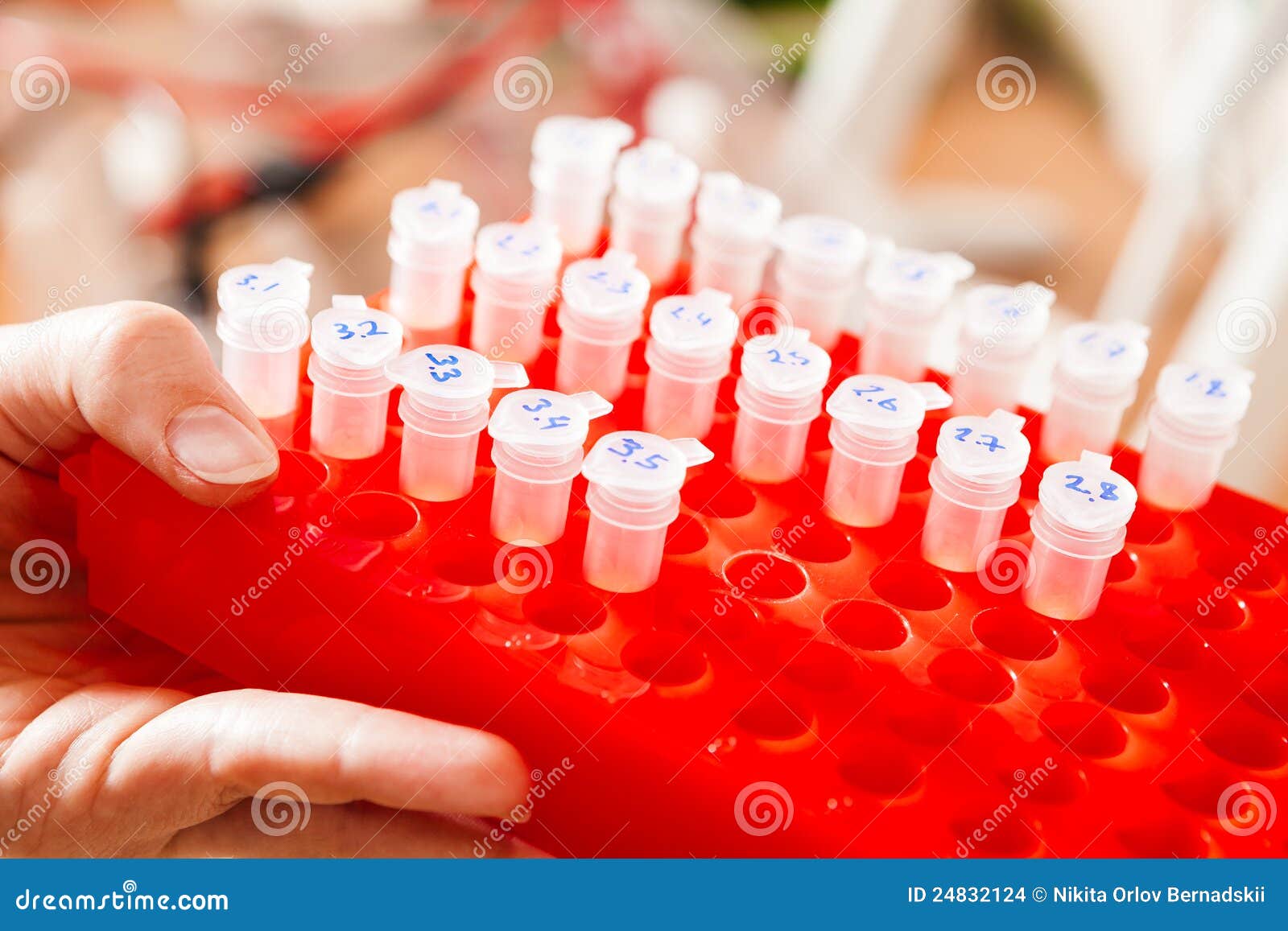 Rack of vials stock photo. Image of biology, experiment - 24832124