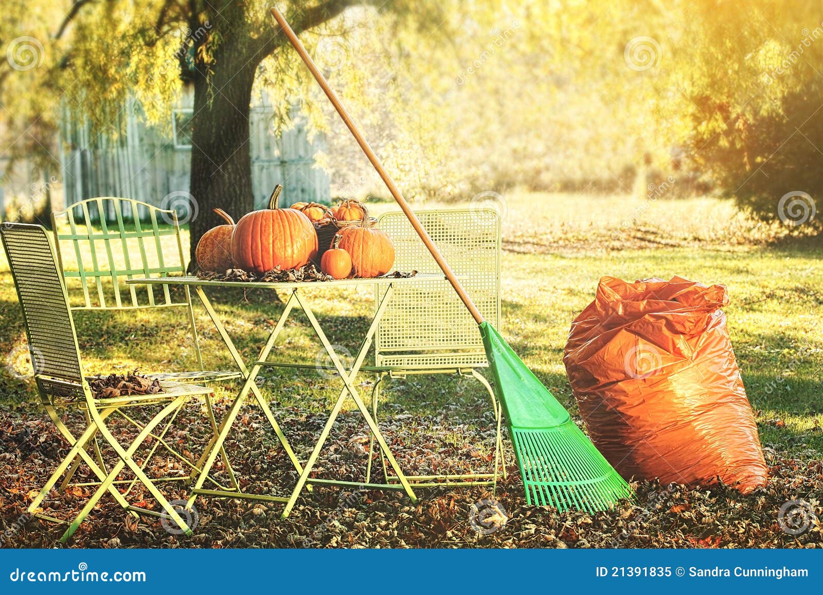 Leaf Racking Stock Photos - Free & Royalty-Free Stock Photos from ...