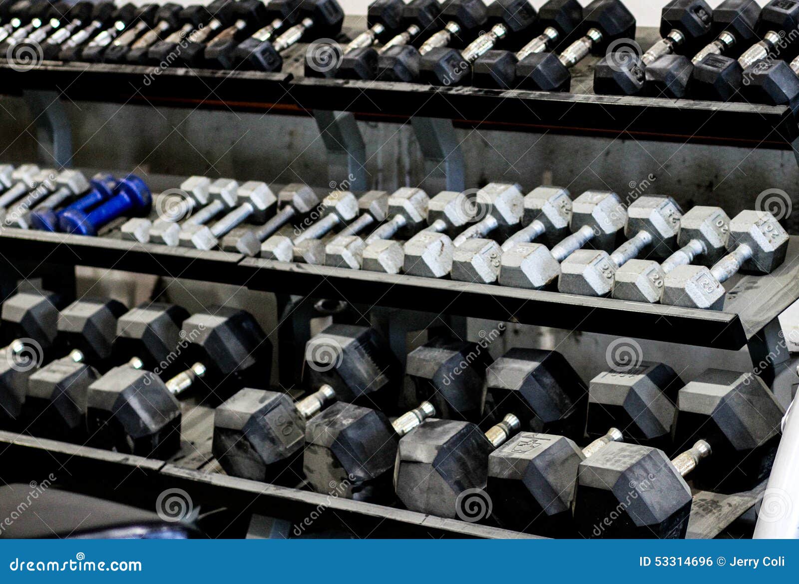Racks of Dumbells stock photo. Image of shape, living - 53314696