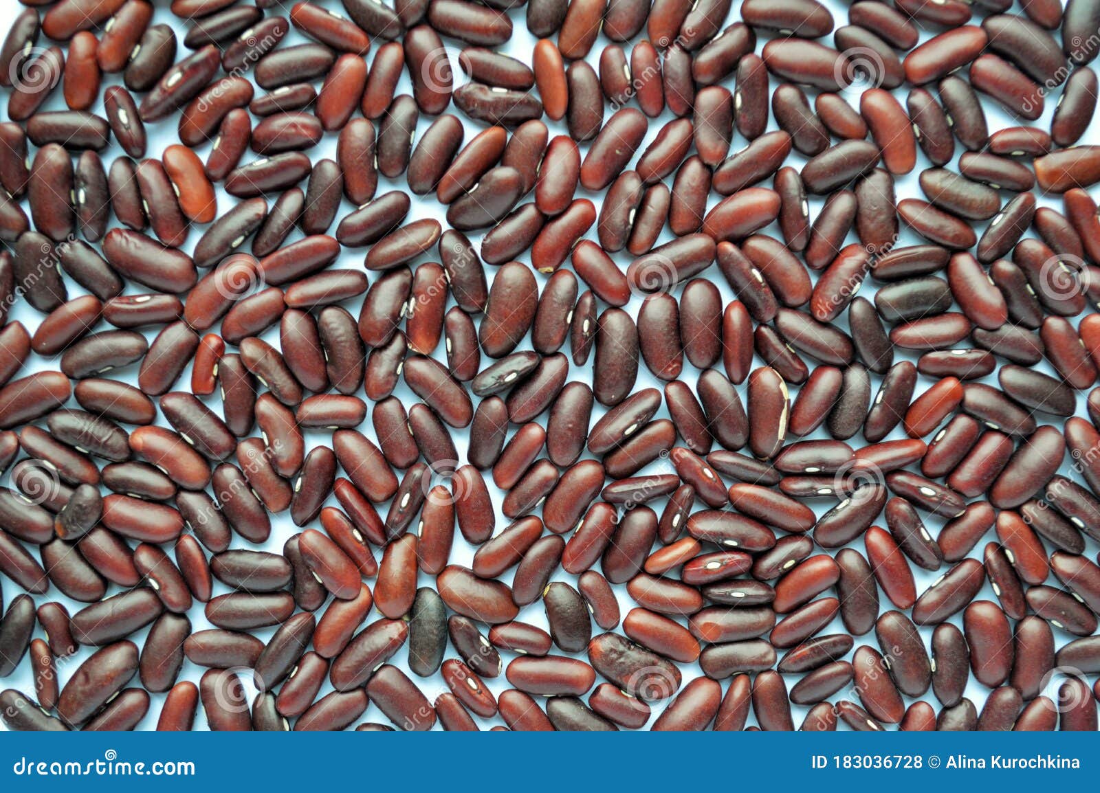 Rad Beans Photos - Free & Royalty-Free Stock Photos from Dreamstime