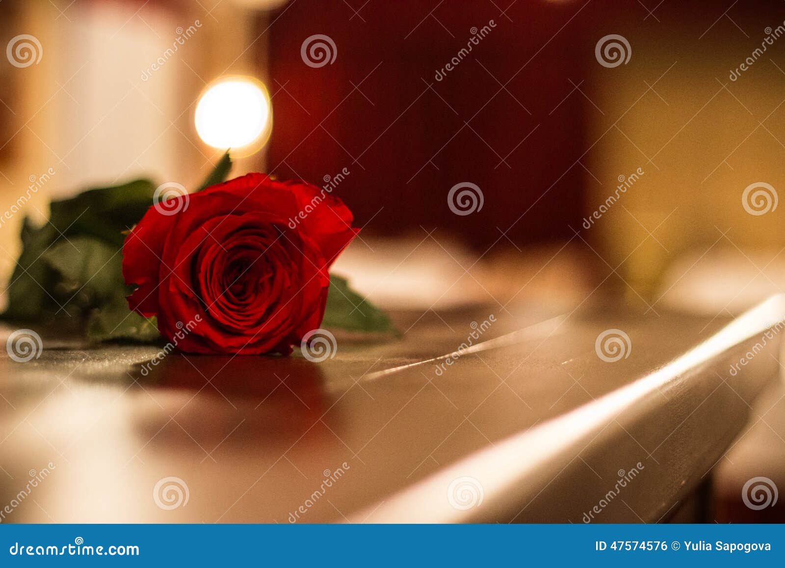 Rad Rose Stock Photos - Free & Royalty-Free Stock Photos from Dreamstime