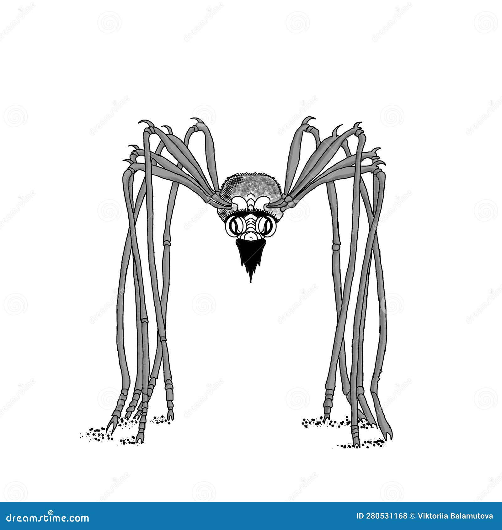 Radar Or Spider Diagram Template. Flat Spider Mesh. Blank Radar Charts ...