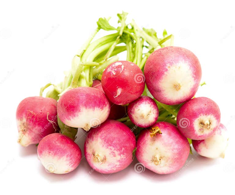 Raddish stock photo. Image of nature, harvest, calorie - 25152106