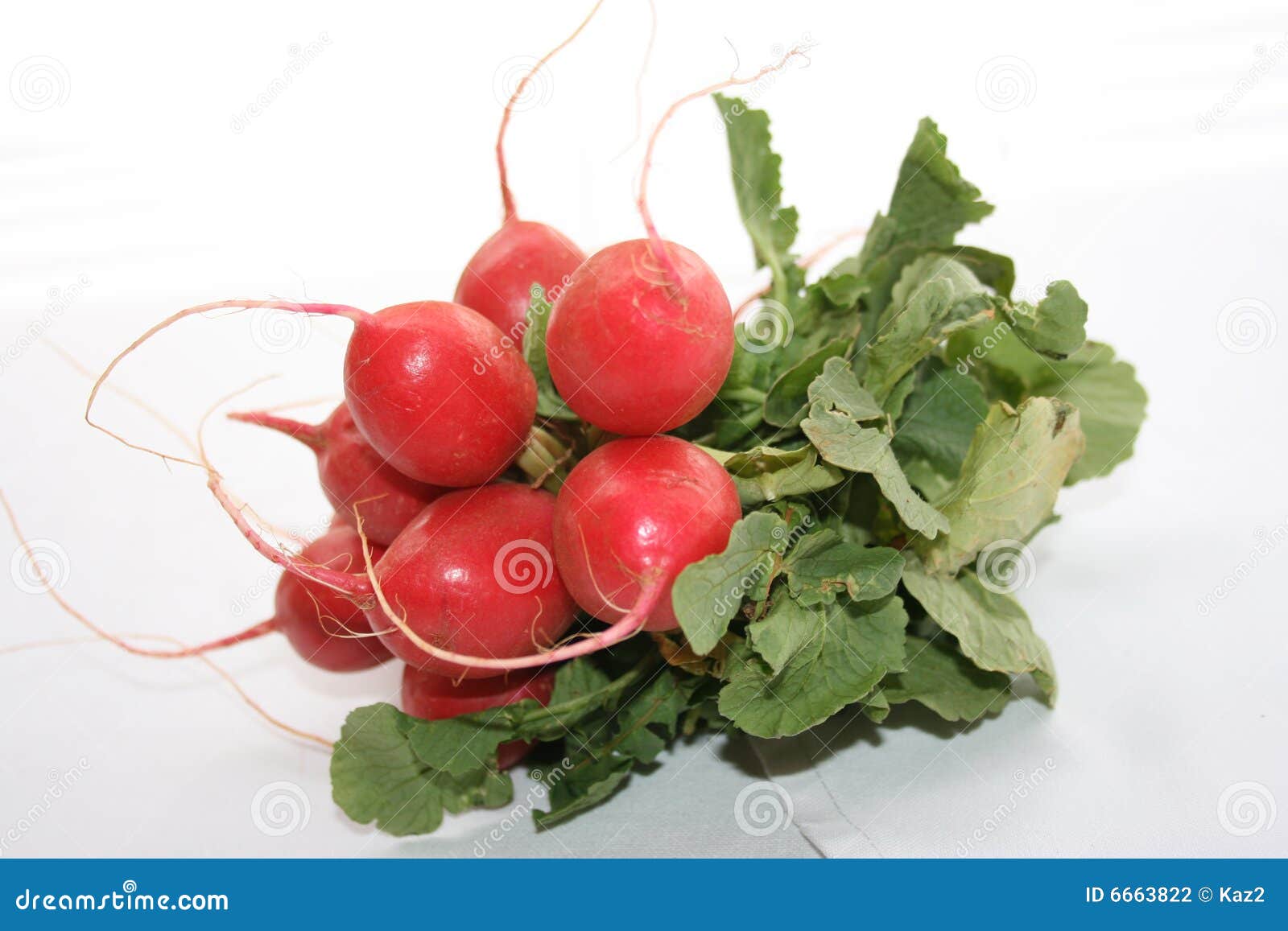 Raddish foto de stock. Imagem de verde, fresco, alimento - 6663822