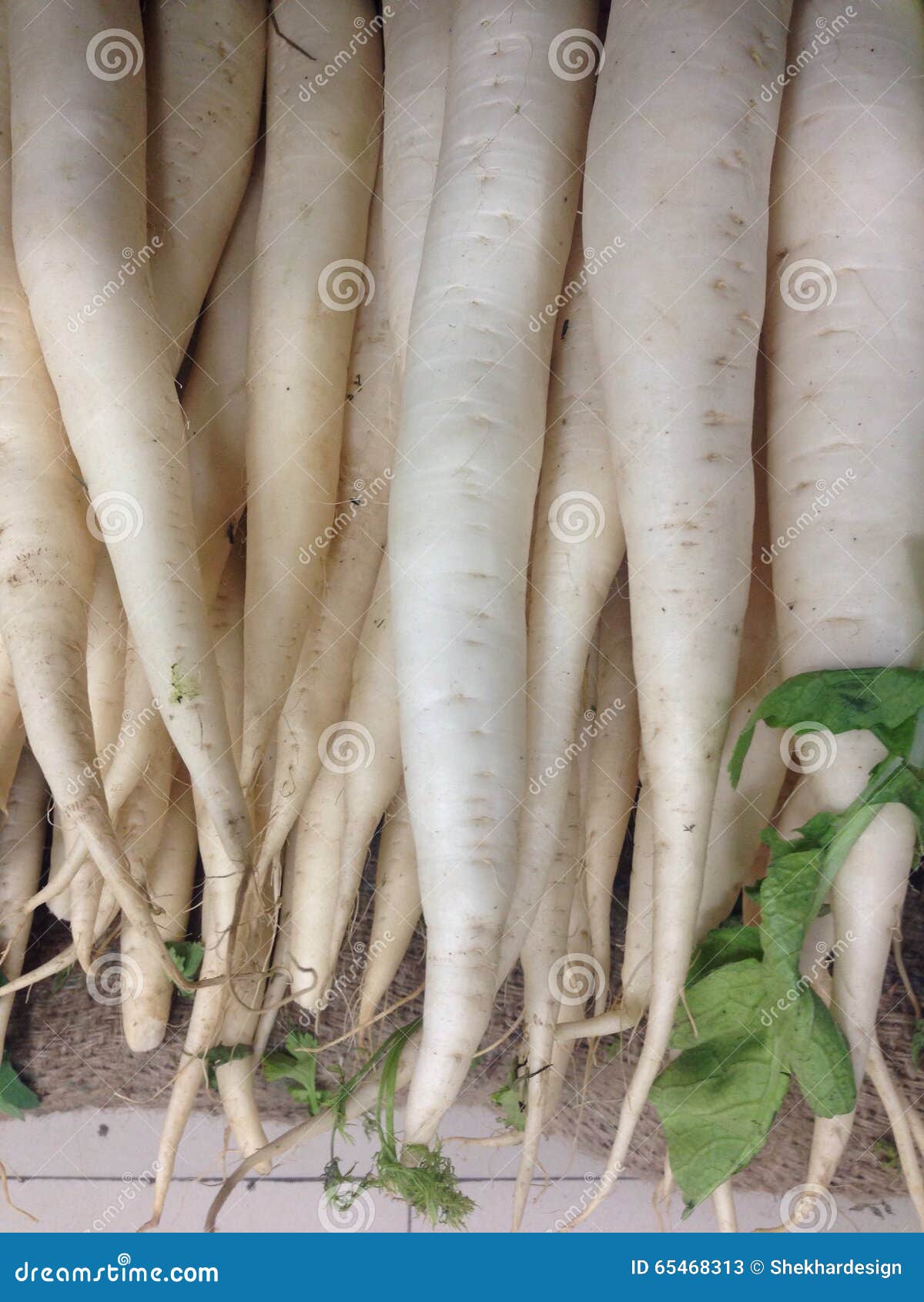 Raddish stock image. Image of food, selling, display - 65468313