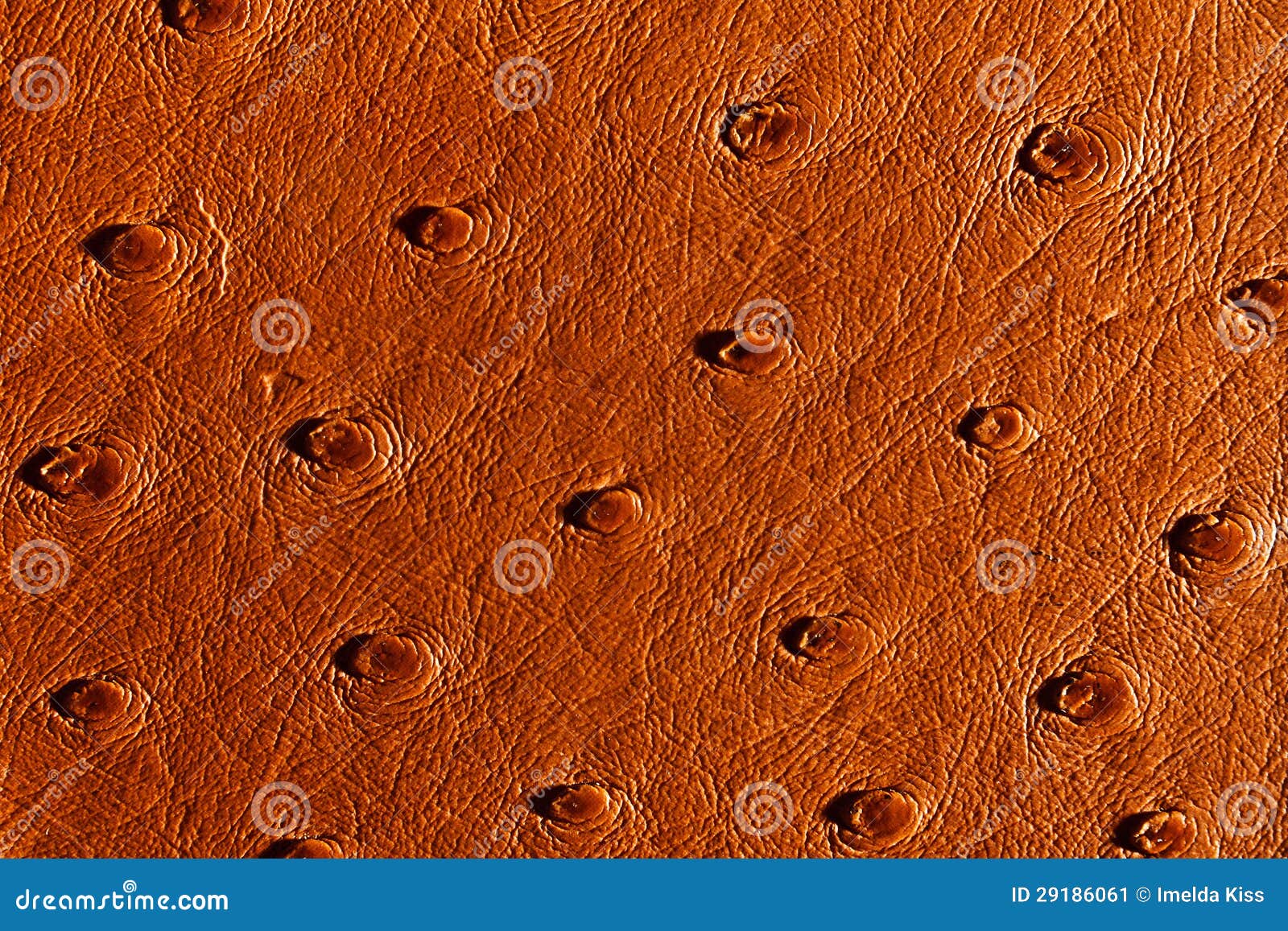 Raddle Brown Leather Texture Stock Image - Image of cowhide, real: 29186061