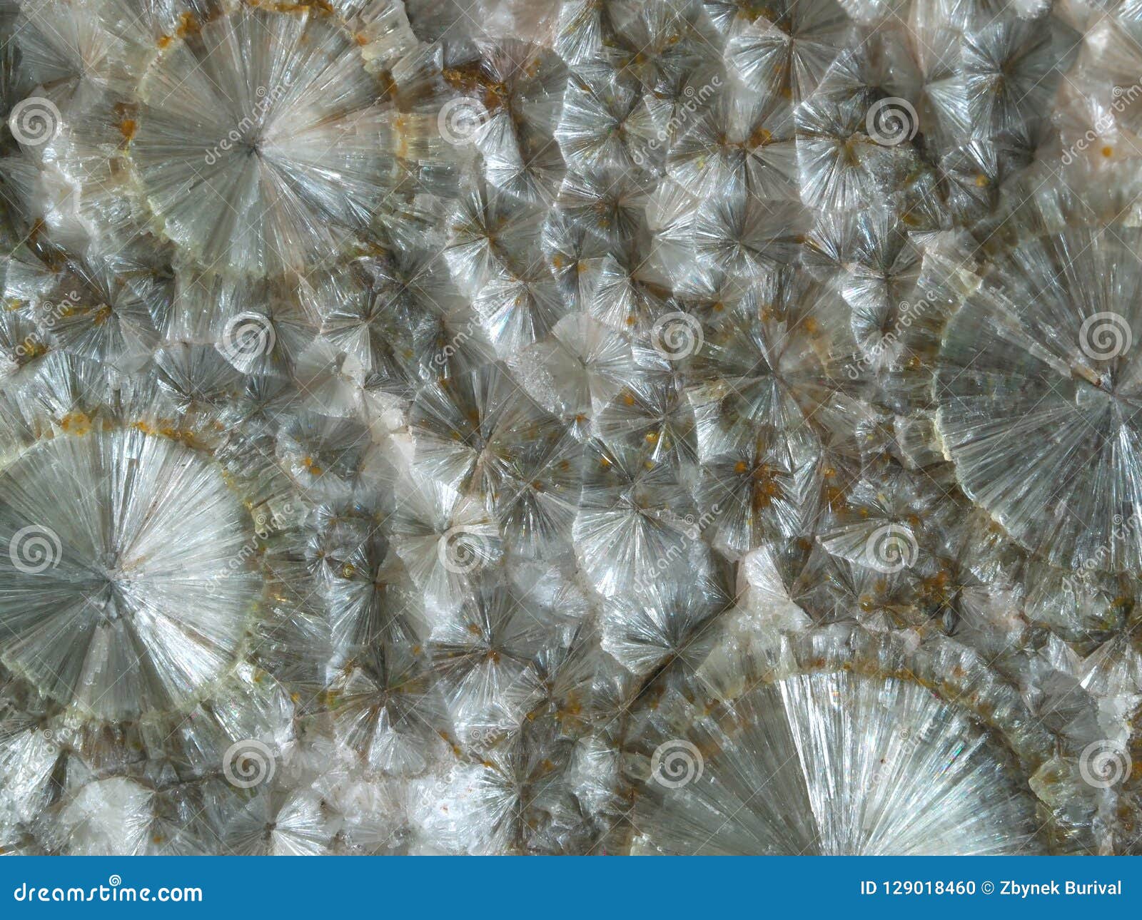 Radial Aggregates of Pearly Wavellite Crystal Stock Photo - Image of ...