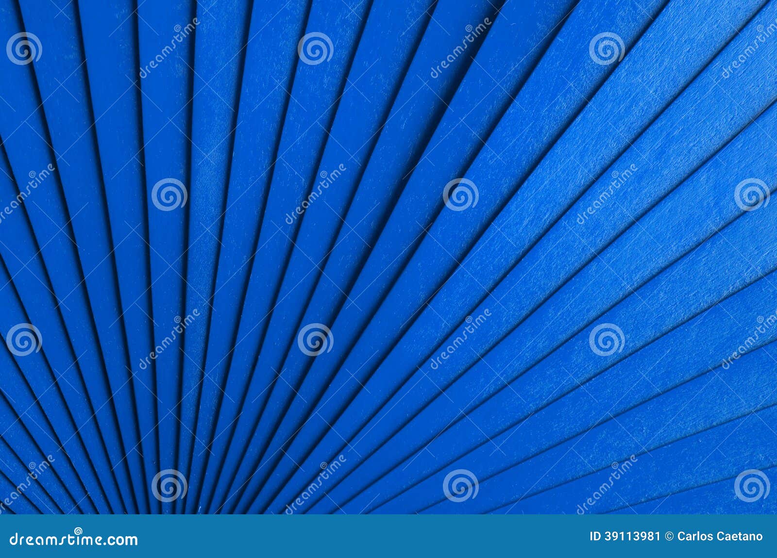 Radial Blue stock image. Image of macro, radial, natural - 39113981