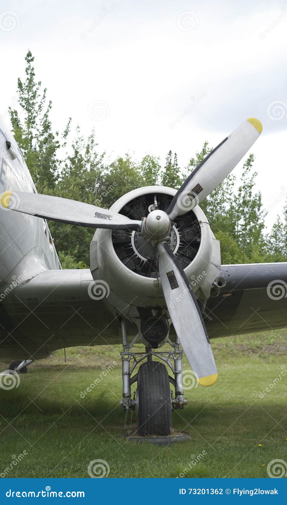 Radial engine stock photo. Image of tire, prop, aircraft - 73201362
