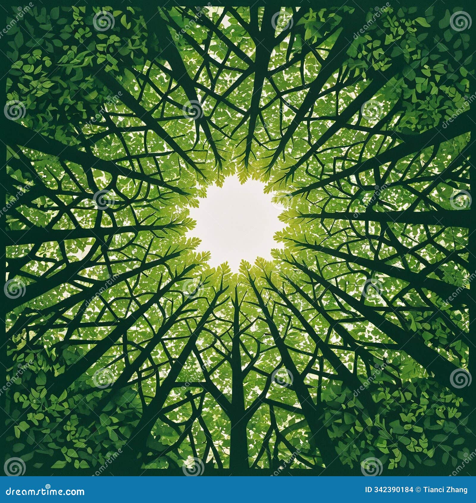 A Radial Pattern of Green Leaves Radiates Out from a Central White ...