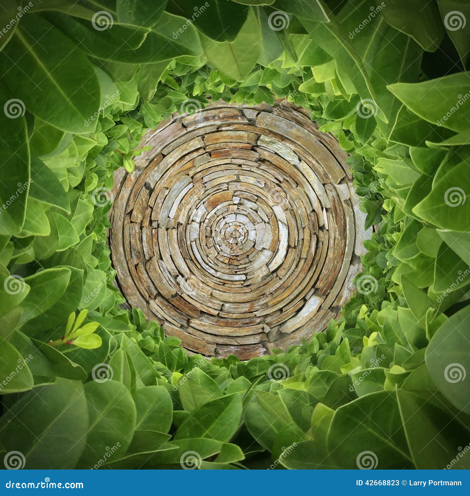 Circular Rock Green Shrub Pattern Stock Photos - Free & Royalty-Free ...