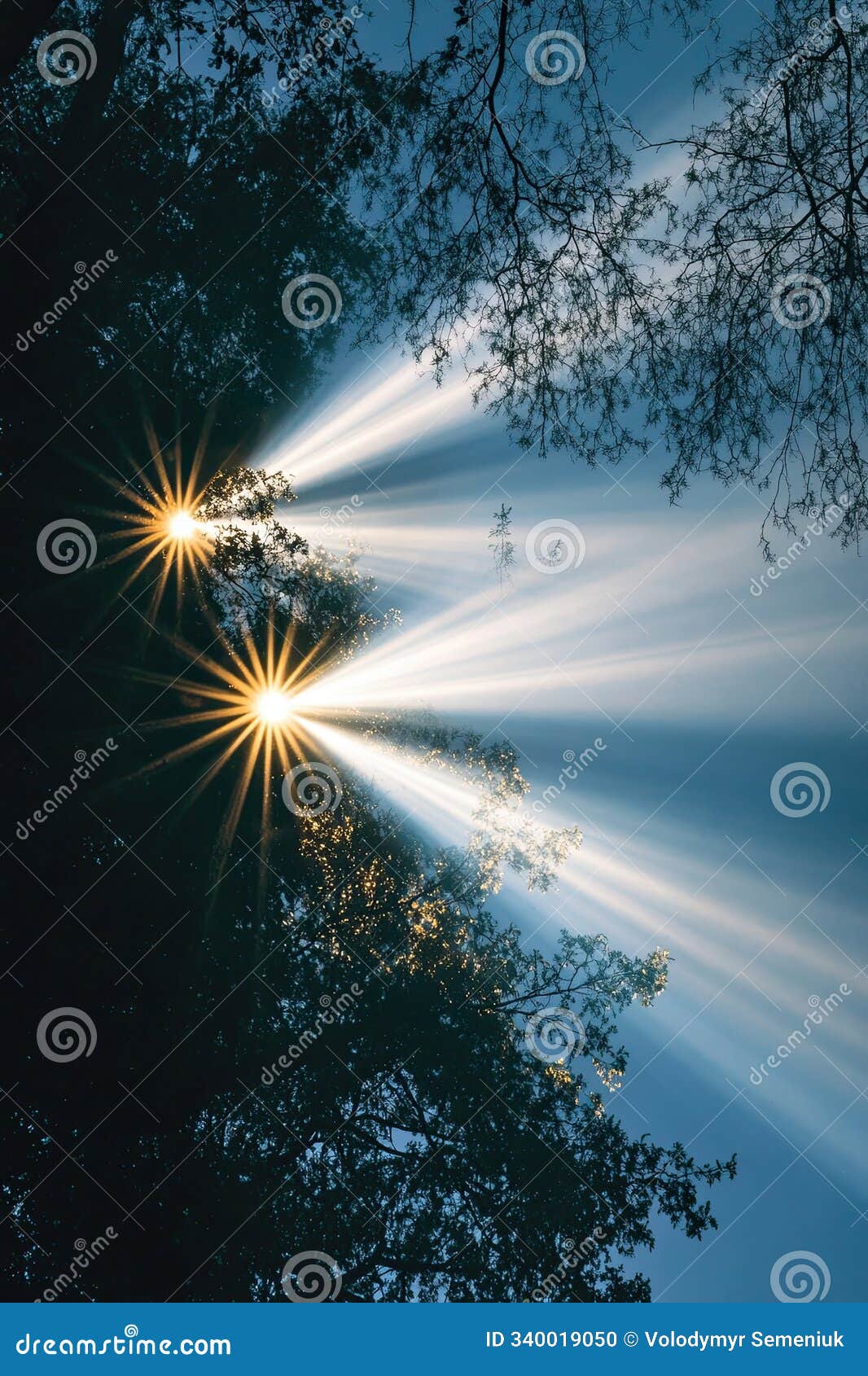 Radiant Beams of Light Piercing through the Canopy at Dusk in a ...