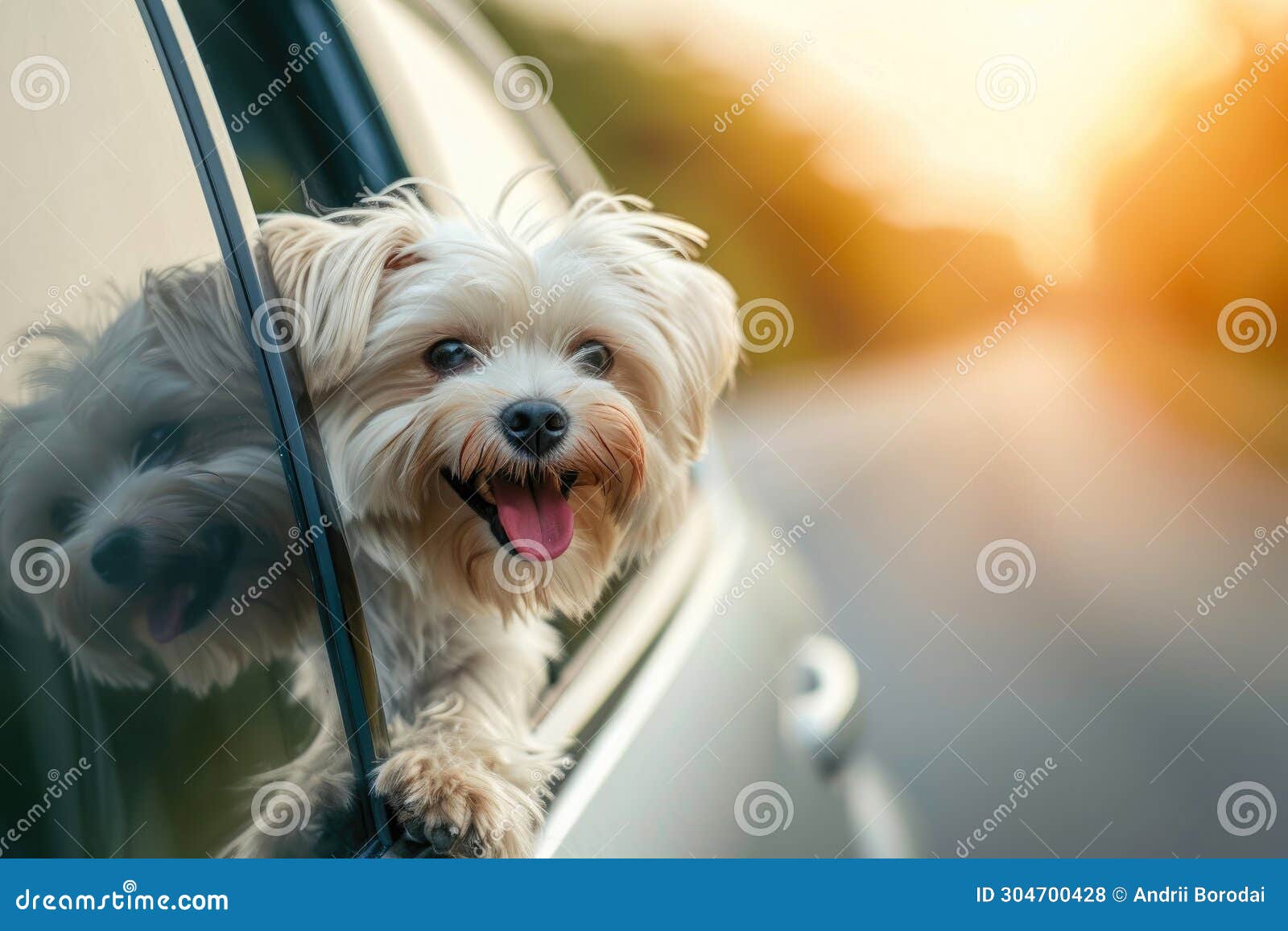 Happiness Unleashed Smile Face Cartoon Patter Vector Illustration ...