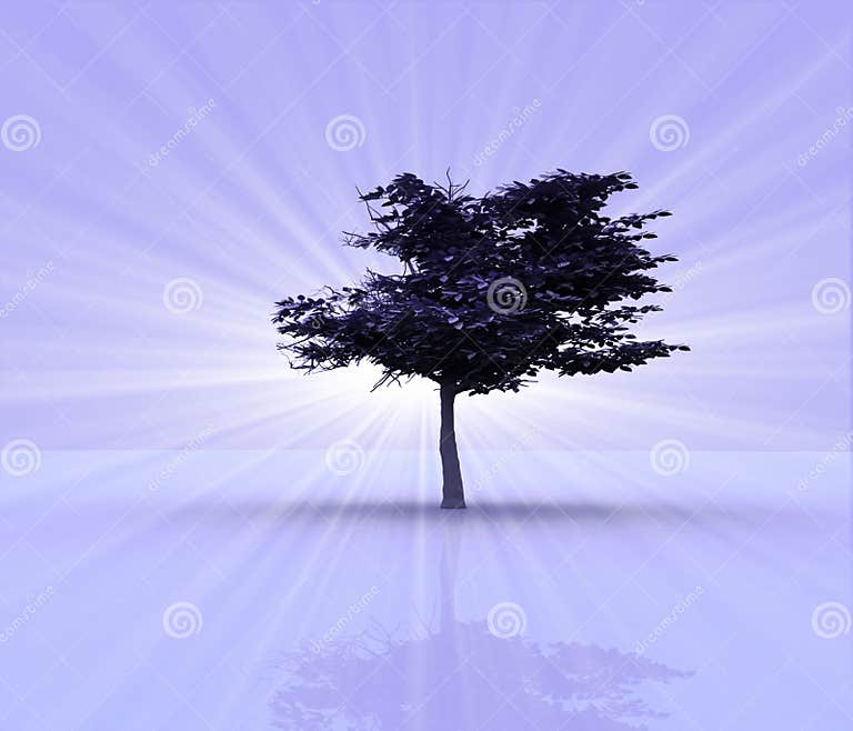 Radiant tree stock illustration. Illustration of cart - 11695361