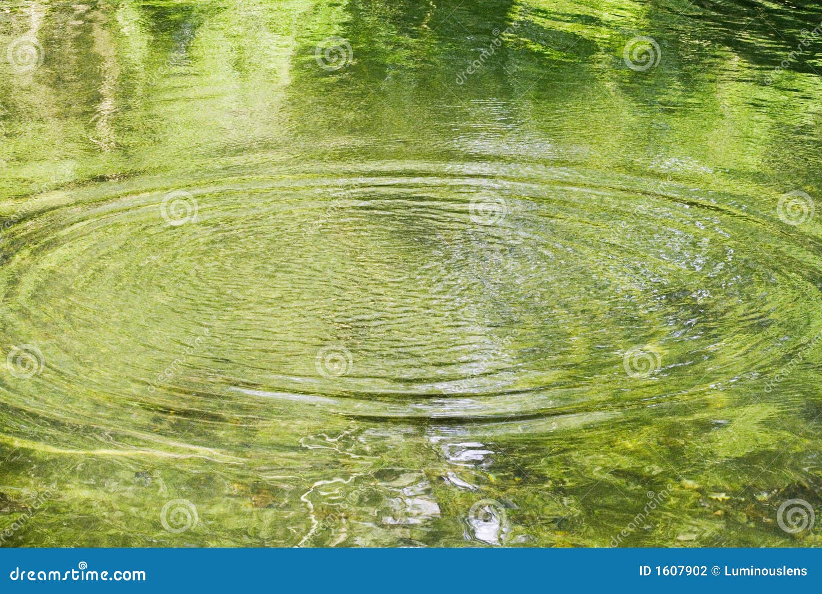 Radiating Ripples On A Green Pond Stock Photography - Image: 1607902