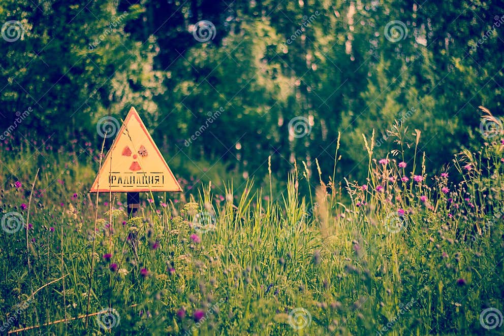 Radiation, grass, summer stock image. Image of radiation - 25647097