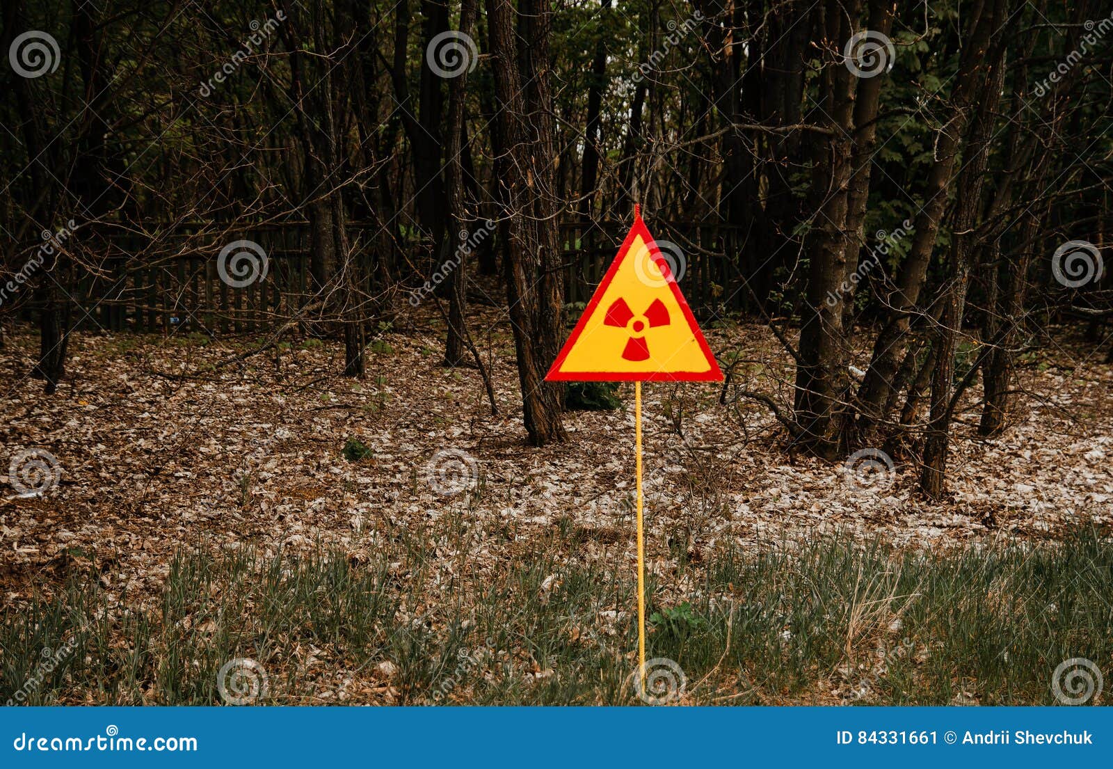 Radiation Polution Sign Background Dead Forest On Chernobyl, Ukraine ...