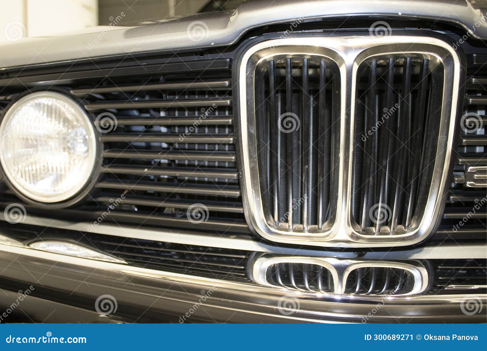 The Radiator Grille is an Element of the Car Body that Protects and ...