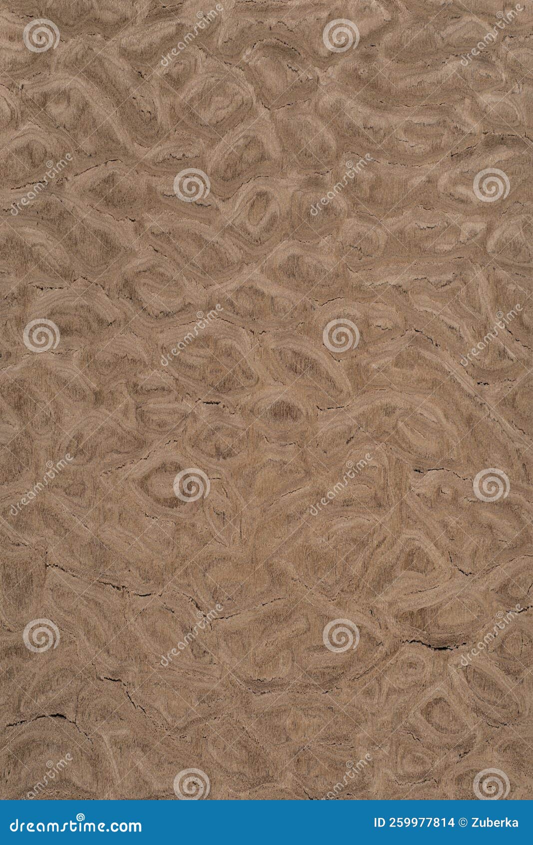 Radica Exotic 4 Wood Background Stock Photo - Image of background ...
