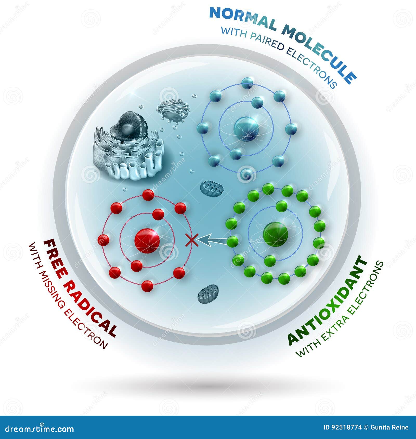 Radical libre illustration de vecteur. Illustration du anatomie - 92518774
