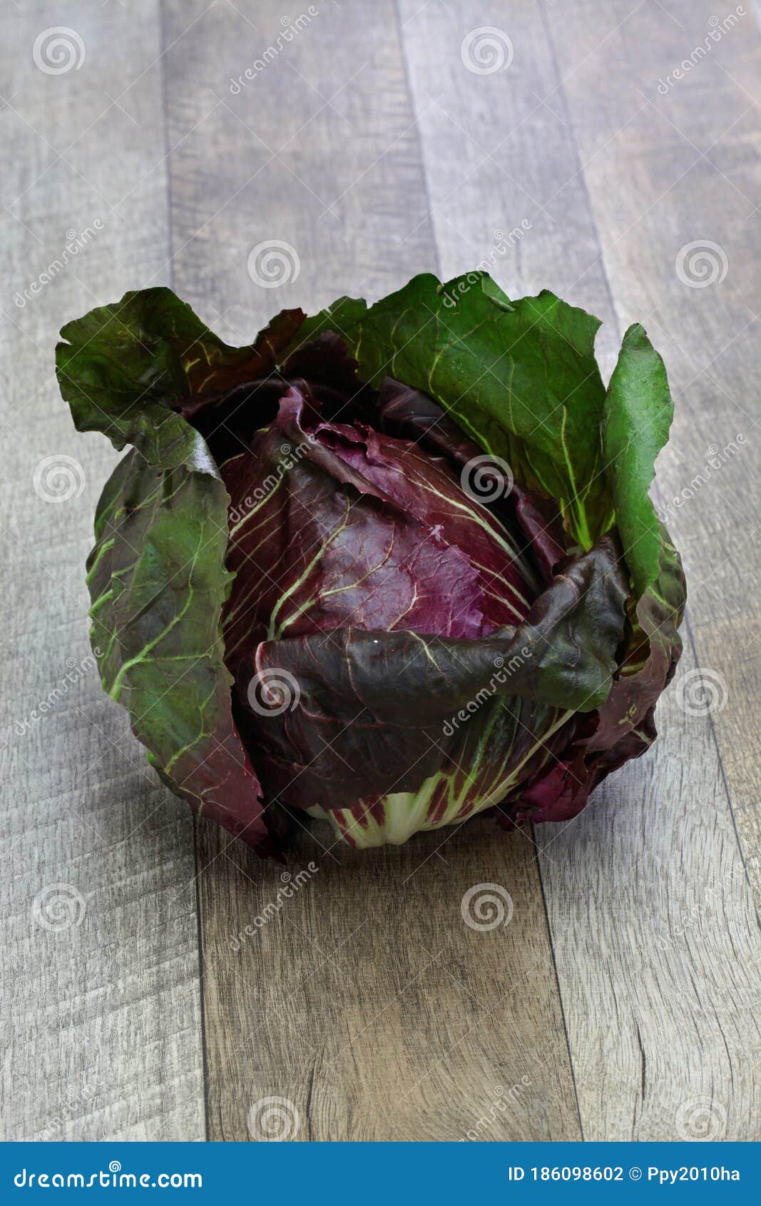 Radicchio Chioggia, Italian Vegetable Stock Photo - Image of lettuce ...